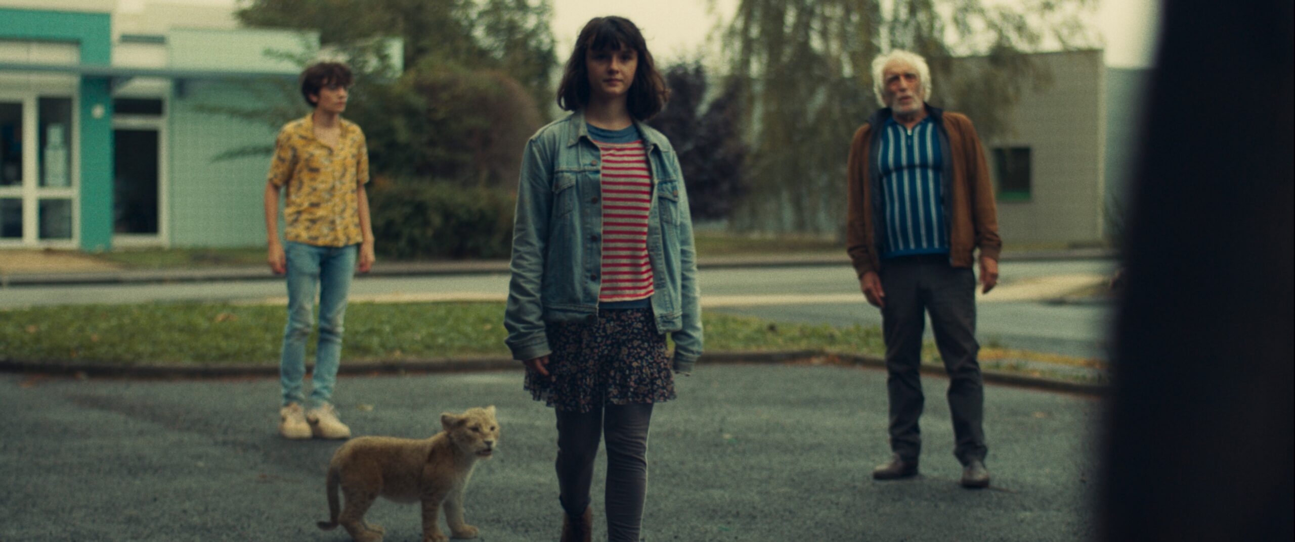 “King, regreso a casa” | Cine y Teatro Argentino